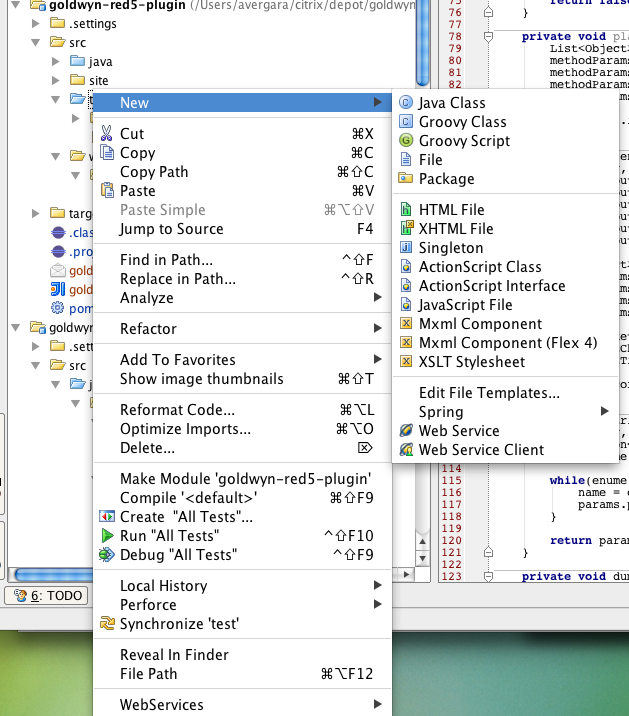 Classes in a package are not visible to other packages in the same module – IDEs Support ...
